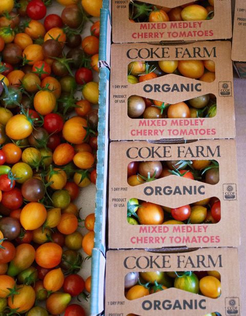 ReadyCycle® - The Worlds Best Sustainable Packaging for Produce